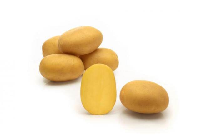 Talukartul - Eesti kartul alates aastast 2000!